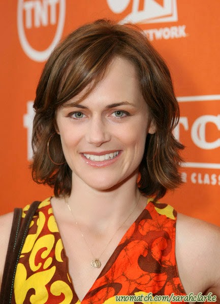 Top 100 hottest female celebrities!: Sarah Clarke Biography