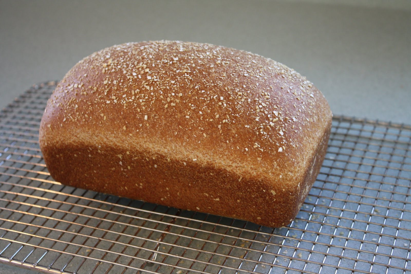 Recipes from Michelle's Kitchen: Whole Wheat Bread- Tutorial