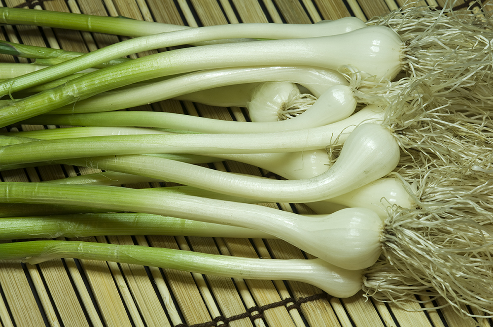 The 3 Foragers: Foraging for Wild, Natural, Organic Food: Field Garlic ...