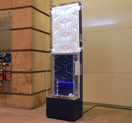 Interactive Media Final Project: A donation box company