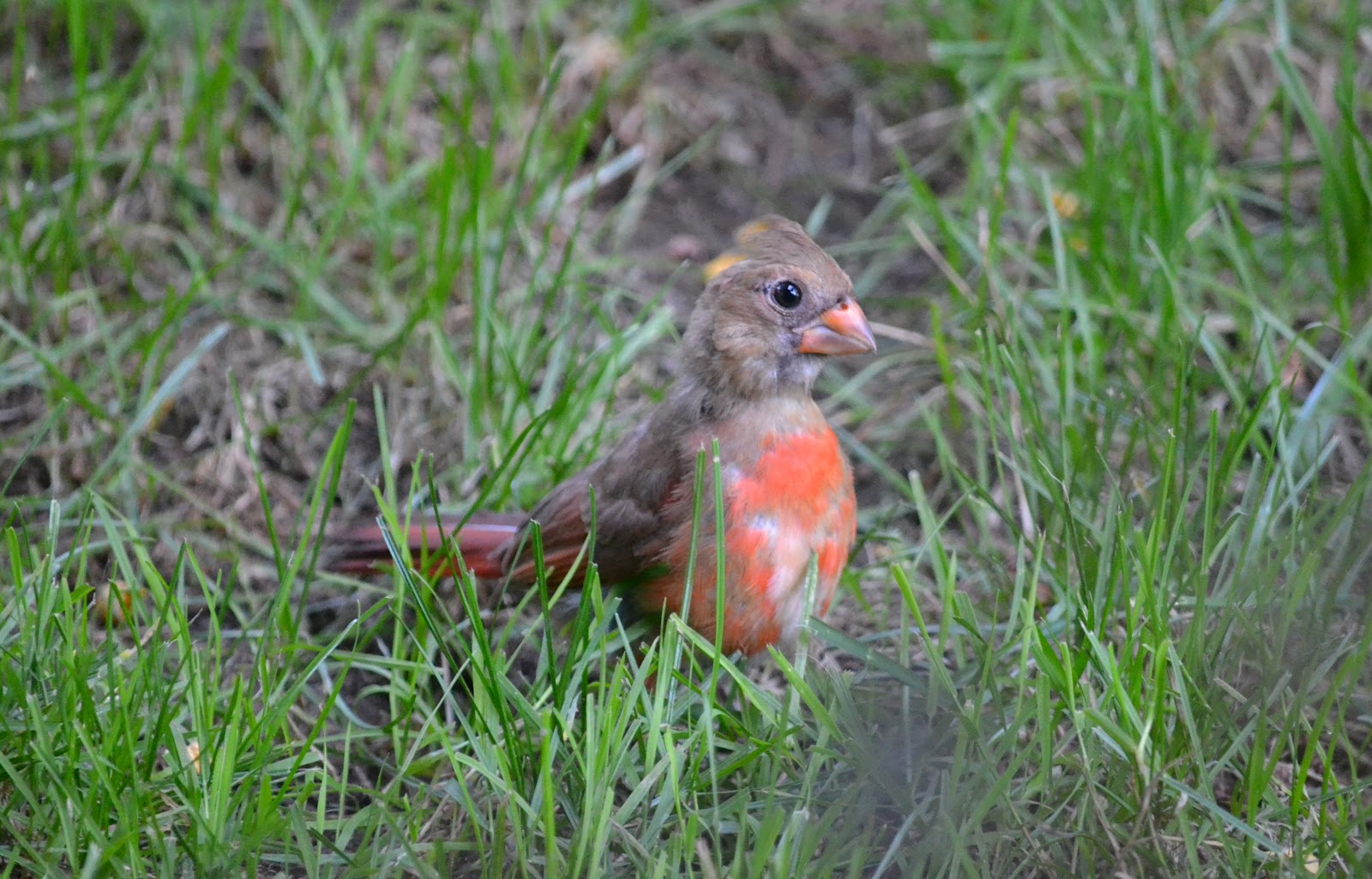 It's All About Purple: Baby Love...