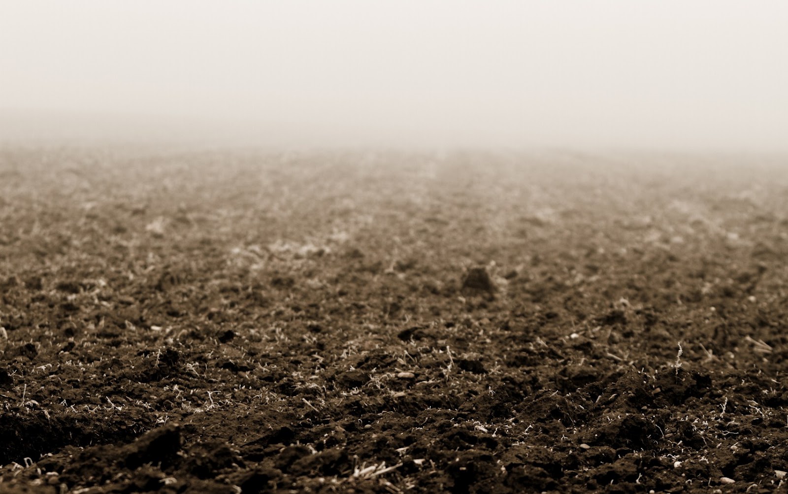 Soil, earth, dirt: A farmer's field. ~ Matthew G Beall :: Vision Driven ...