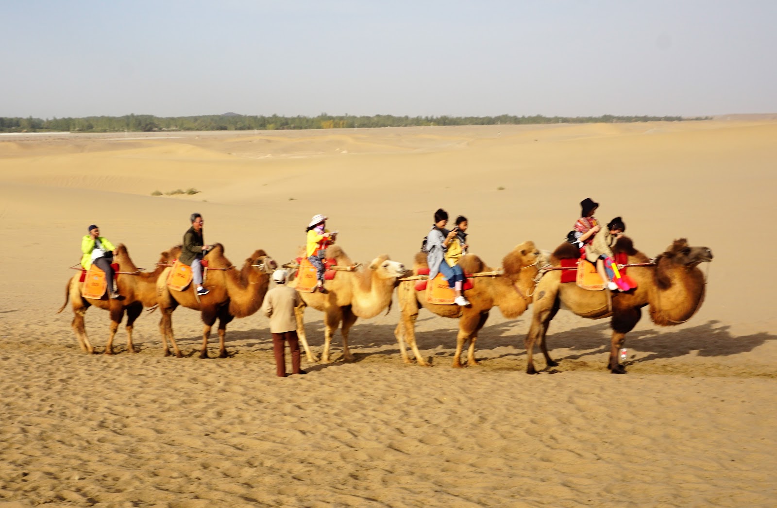 Souvenir Chronicles: DUNHUANG, CHINA: RIDING CAMELS IN THE GOBI DESERT