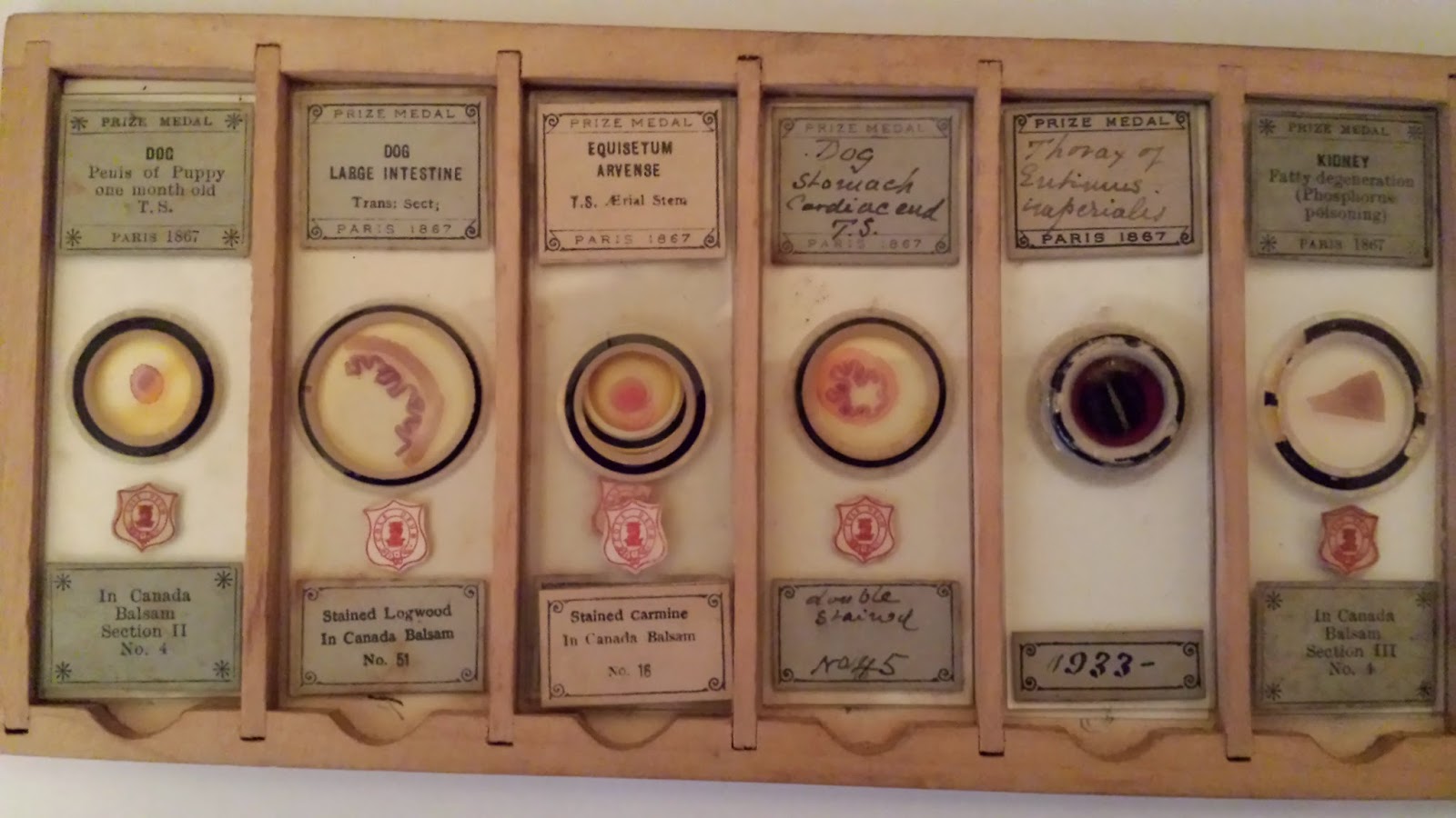 Harry Cunliffe microscope slide collection: A.C. Cole selection