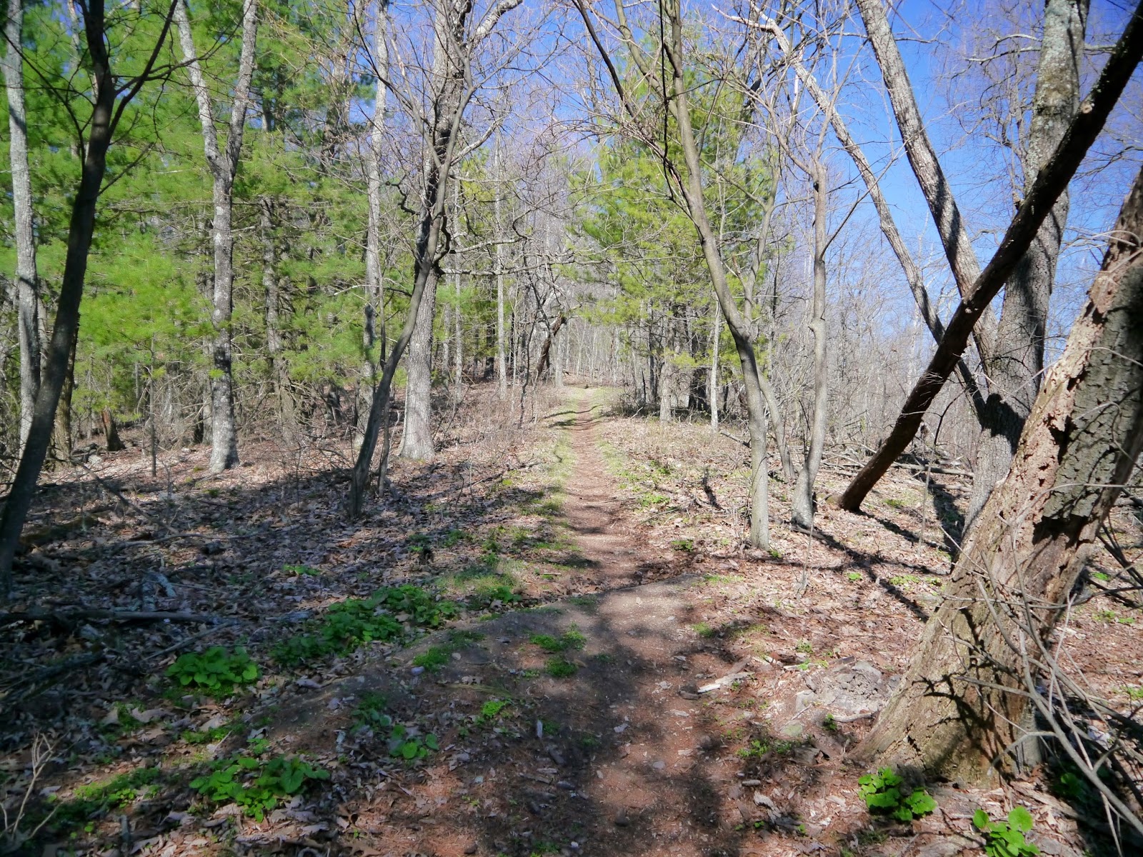 American Travel Journal: Riprap Trailhead to Blackrock Gap ...