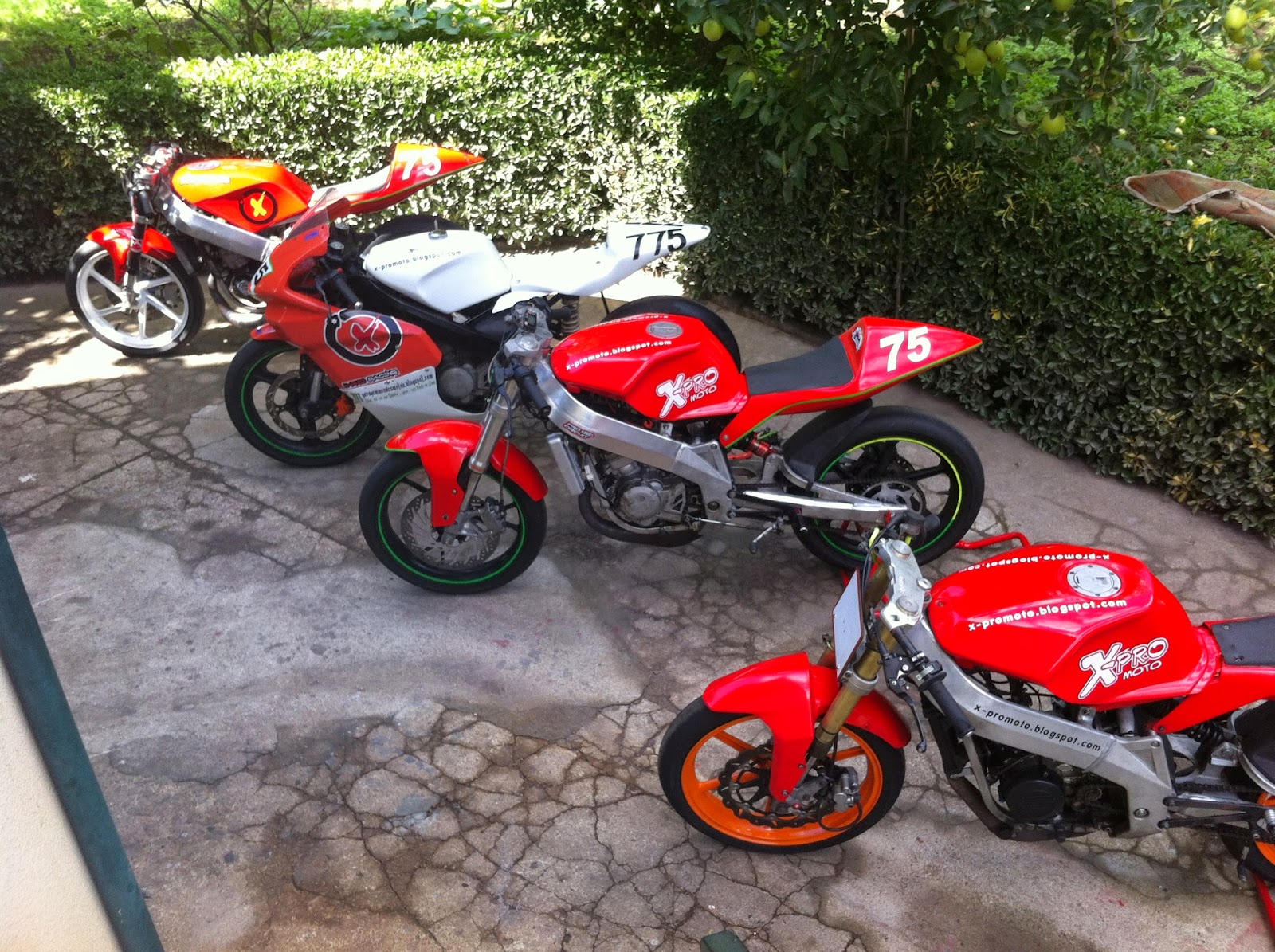 X-PRO MOTO RACING TEAM: Fotos