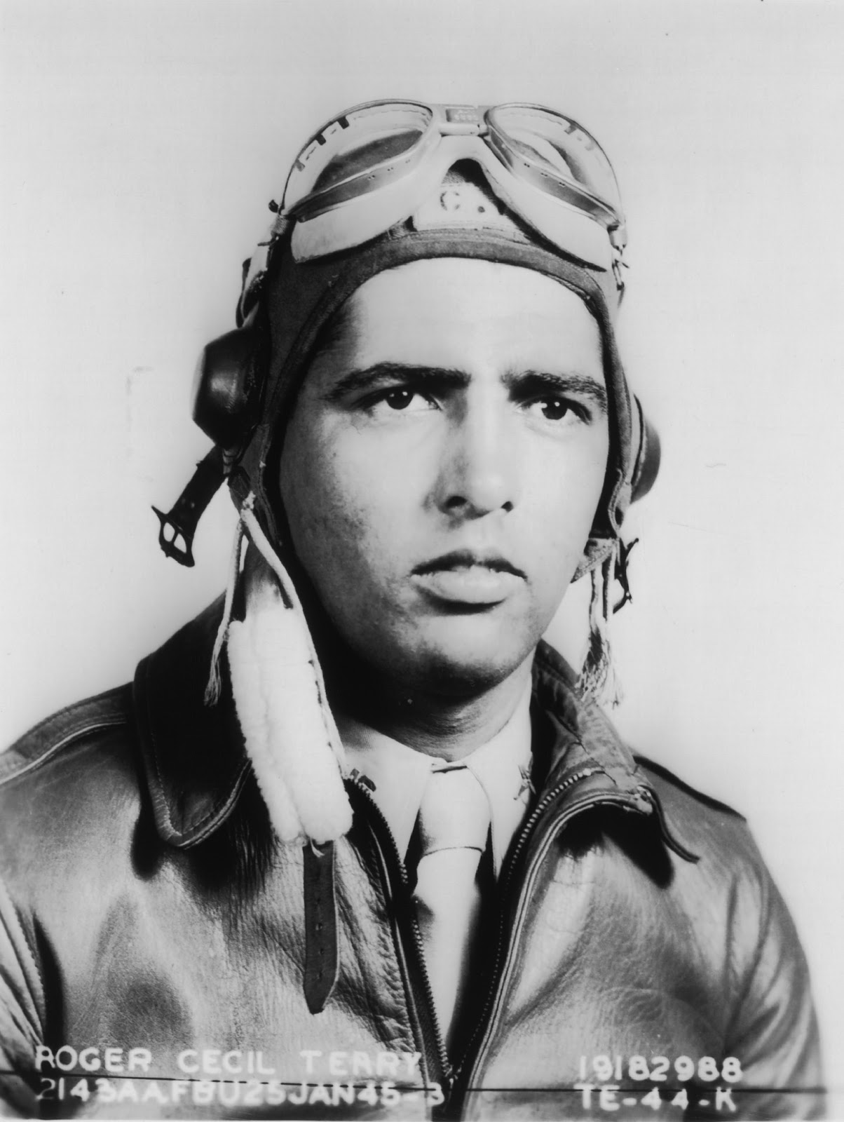 Levine Museum of the New South: Fighting for Democracy: Bill Terry and ...