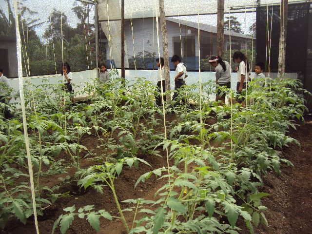 ECUADOR ECO GRANJA RURAL ESCOLAR Copyright © : THE PROJECT MUYU, PALORA ...