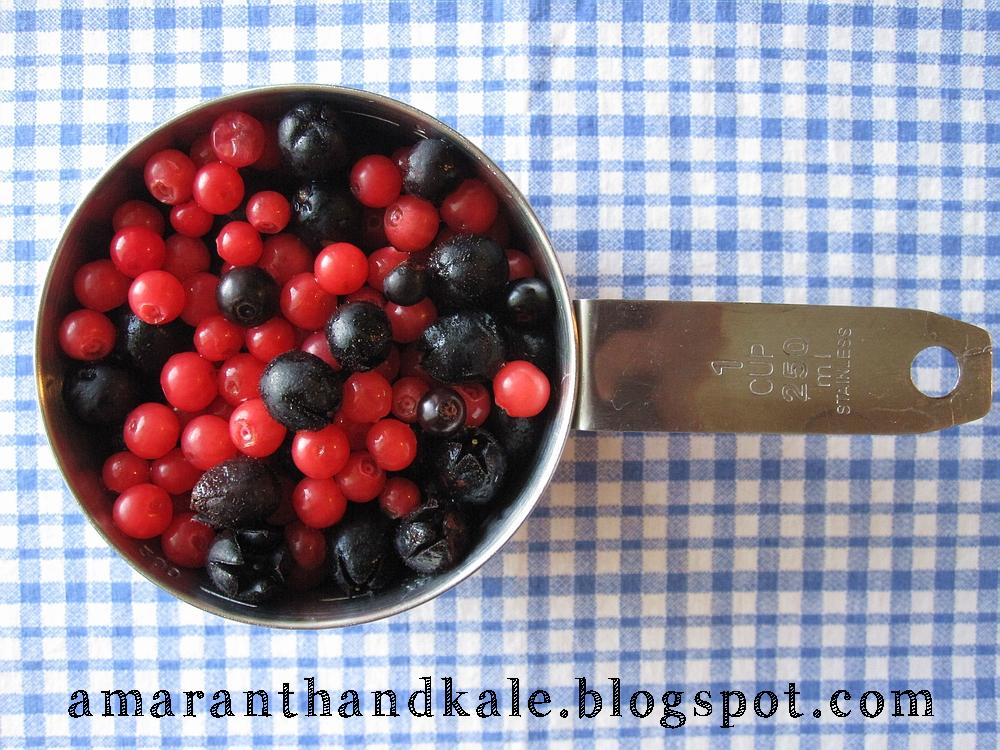 Amaranth & Kale: Oregon Coast Wild Berry Sauce