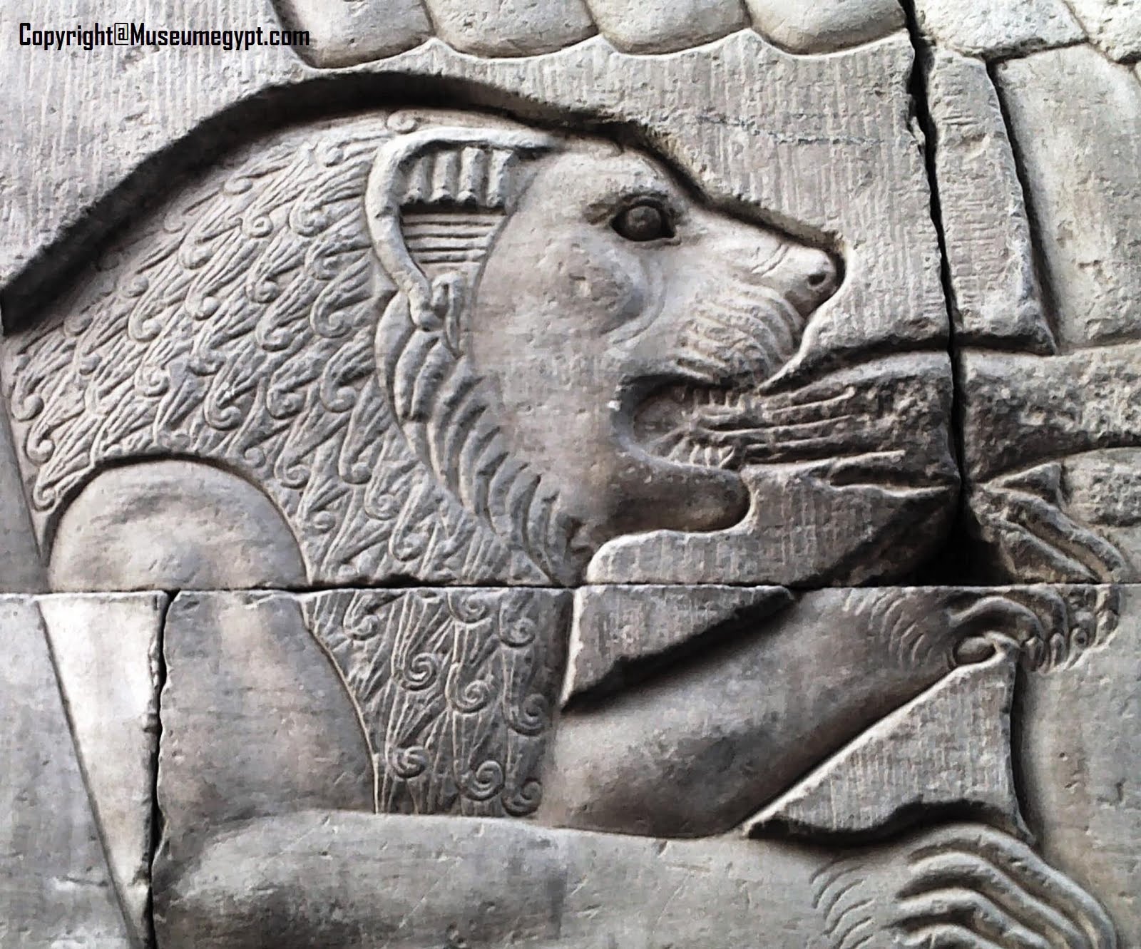 Museumegypt. Since 2006: Animals rituals in ancient Egypt. Part B