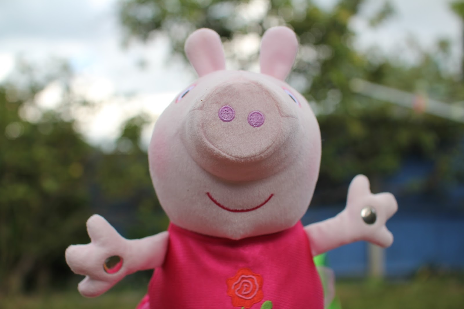 Mummy's Little Blog: Once upon a time Princess Rose Peppa Review