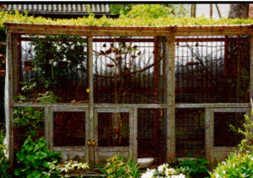 The Splendid Bourke Bird Blog: AVIARIES AND CAGES OUTDOORS