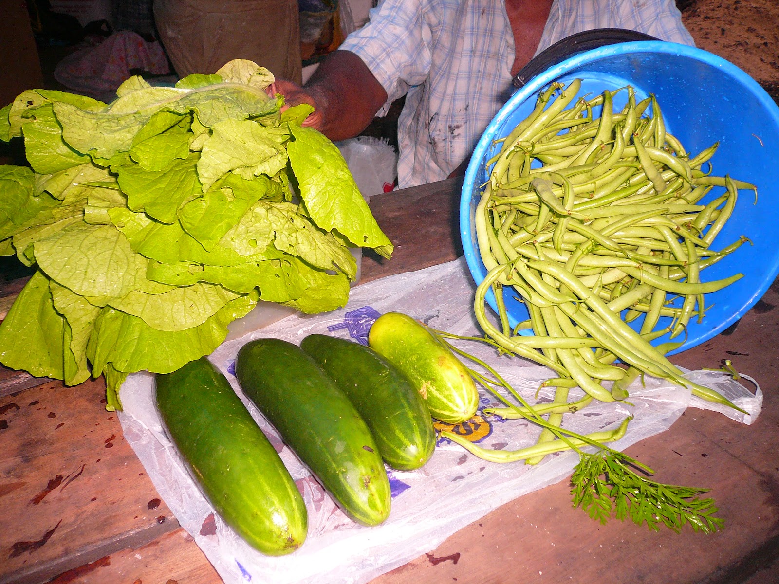 Naciriyawa - our farm in Fiji: Feedback from Fiji