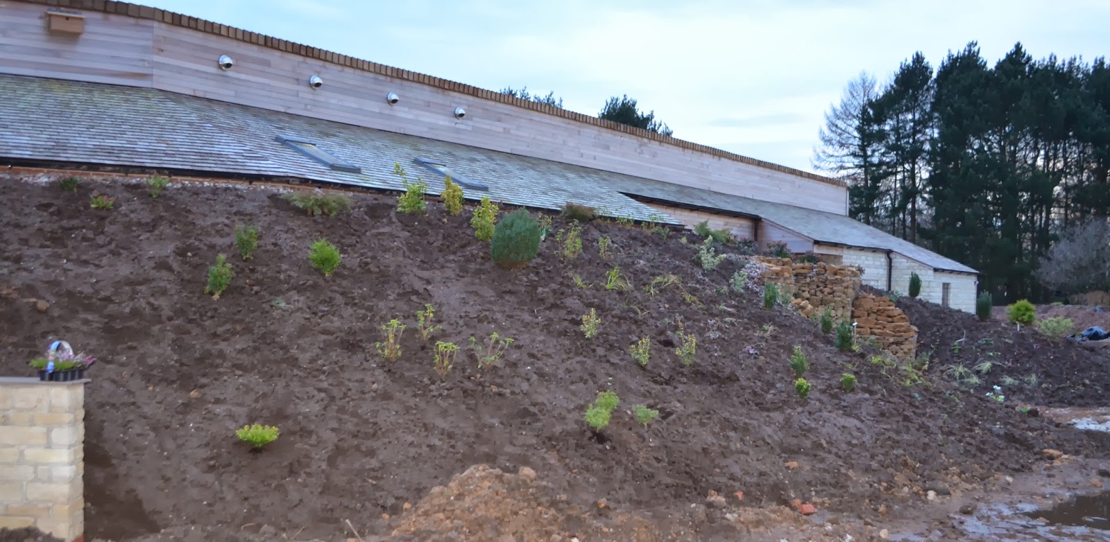 sustainable garden: planting the earth sheltered mounding