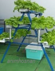 Anim Agro Technology: PERTANIAN BANDAR - PROGRAM BERJAYA