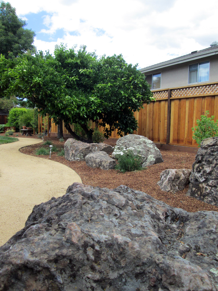 Taproot Garden Design & Fine Gardening: Laurence Residence - South San ...