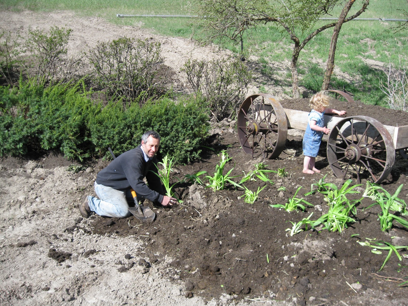 A Little Peace in Paradise: Old Paradise Church – Replanting