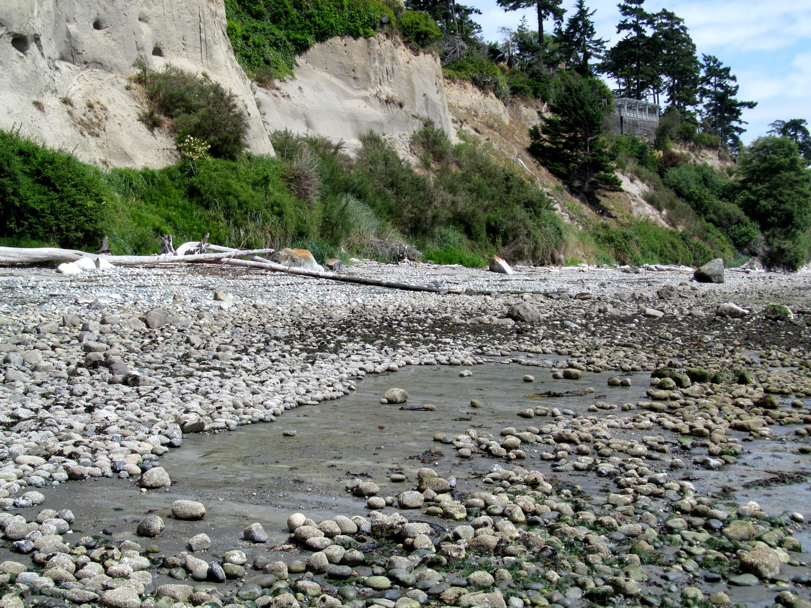 Gravel Beach: South Marrowstone