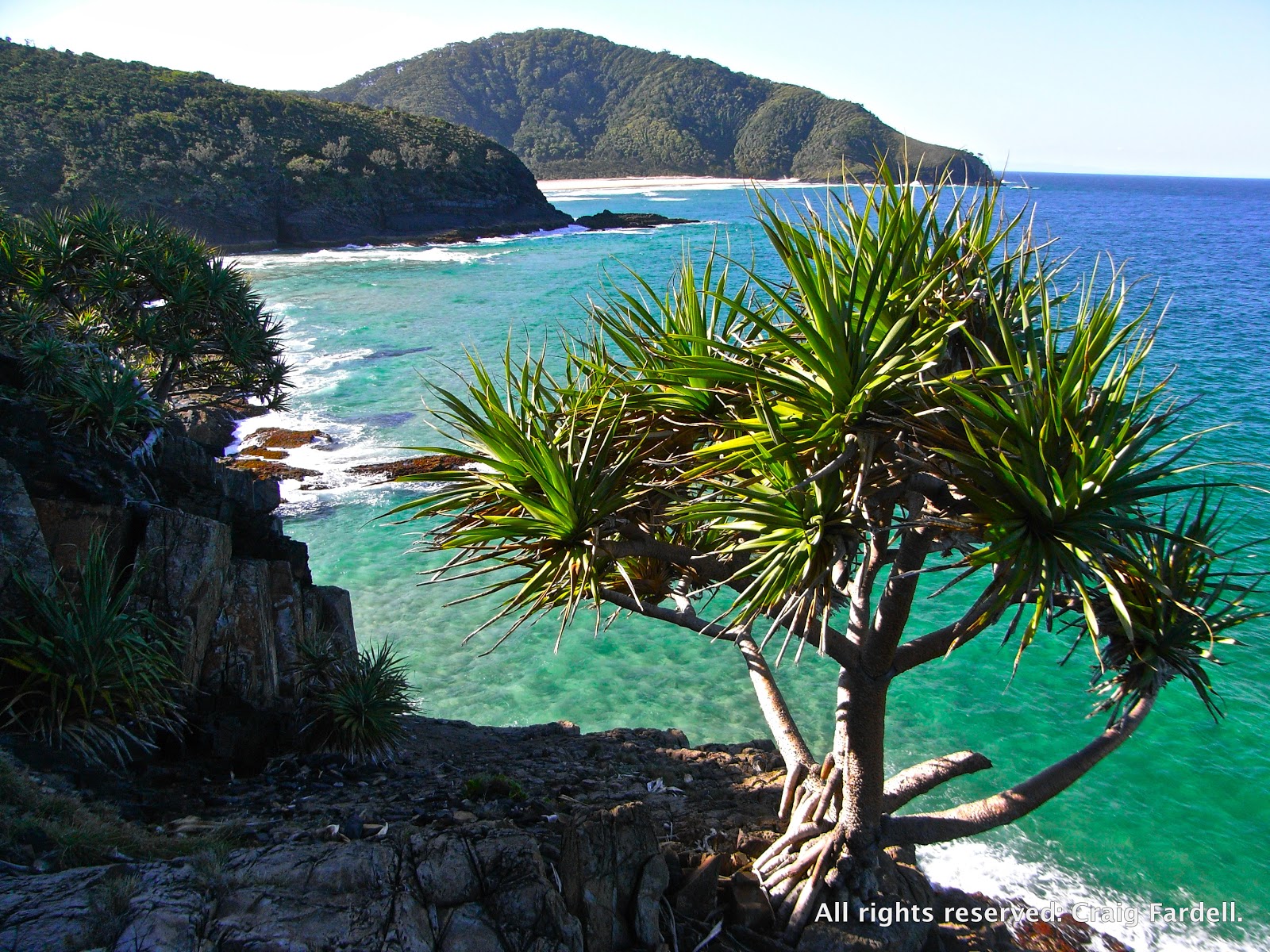 awildland: Smoky Cape Lighthouse - Hat Head National Park