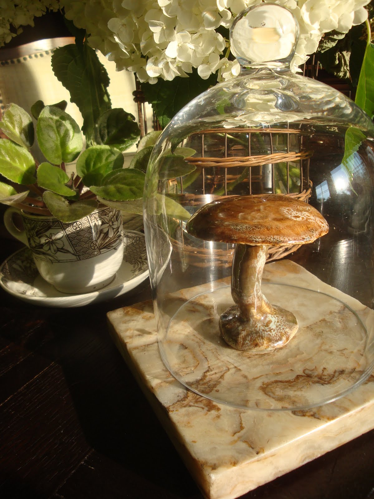 The Polohouse: What's in your cloche?