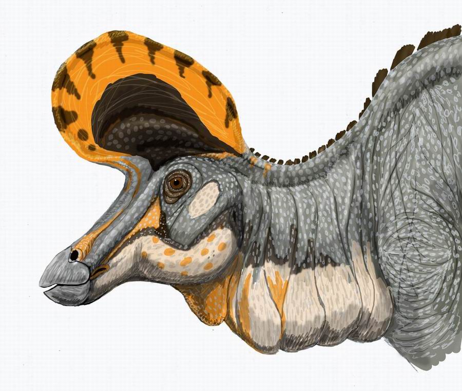 Extinct Animal of the Week: The Many Heads of the Lambeosaurus