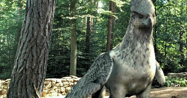 Creatures in Harry Potter