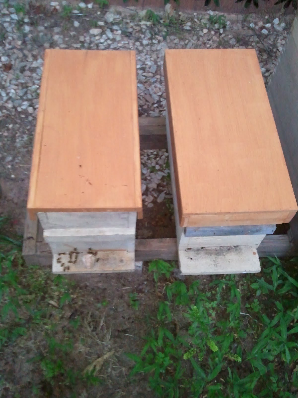 Mark's Farm Tochok: Double Screen Board