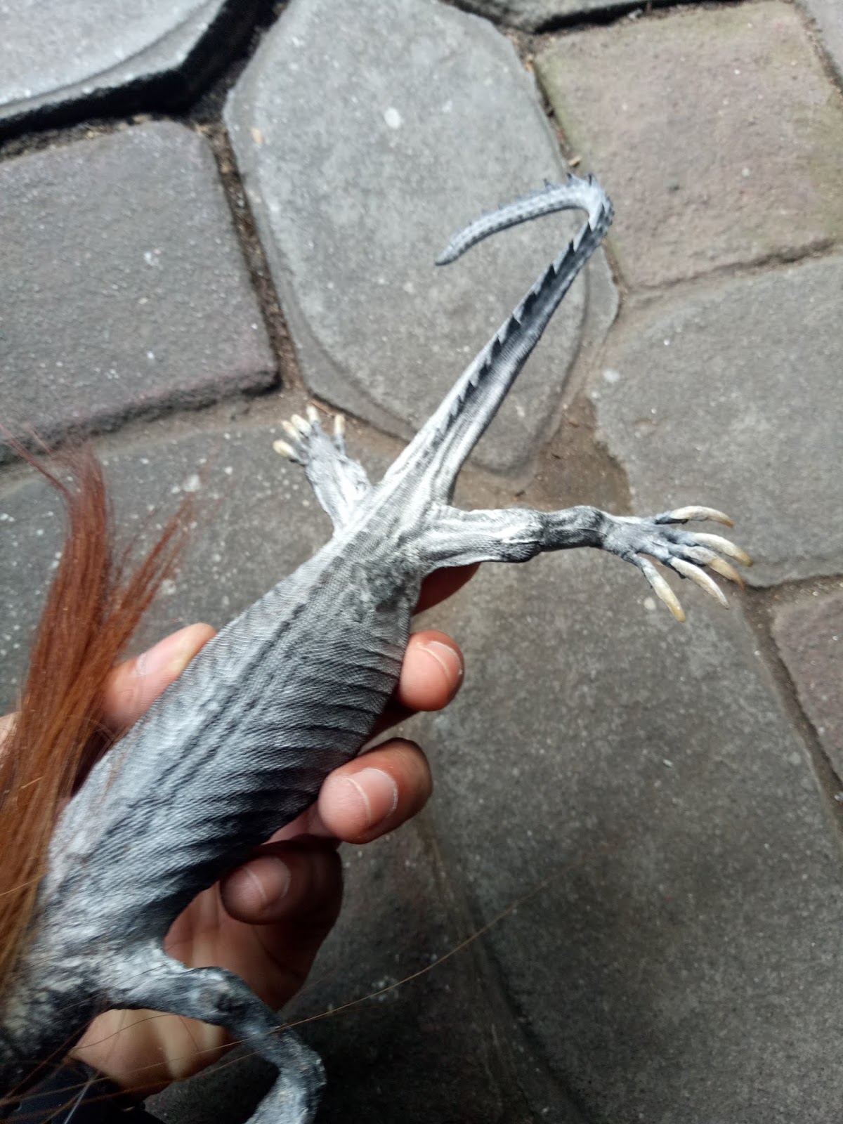 JENGLOT ROJO BOYO ~ Jimat Azimat | Batu Mustika Geliga | Keris Pusaka ...