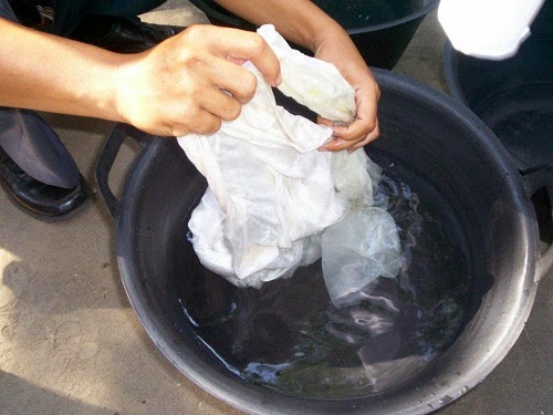 Proses pewarnaan alami Batik Arta Kencana Pemalang - Batik Pemalang