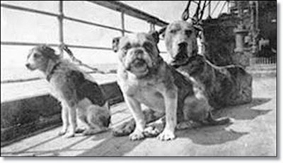 The Pet Tree House - Where Pets Are Family Too : Dogs of the Titanic: a ...