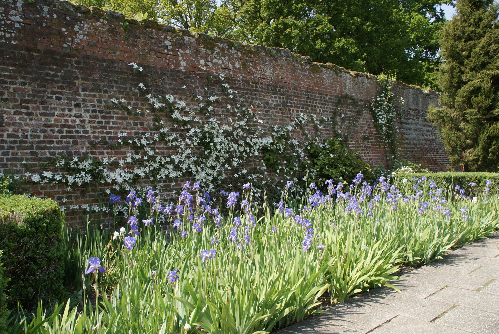 Organic Garden Dreams: Parham House and Gardens, England - III