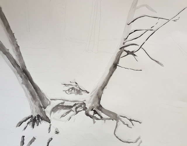 Scribbling With Spirit: Trees in the Wild