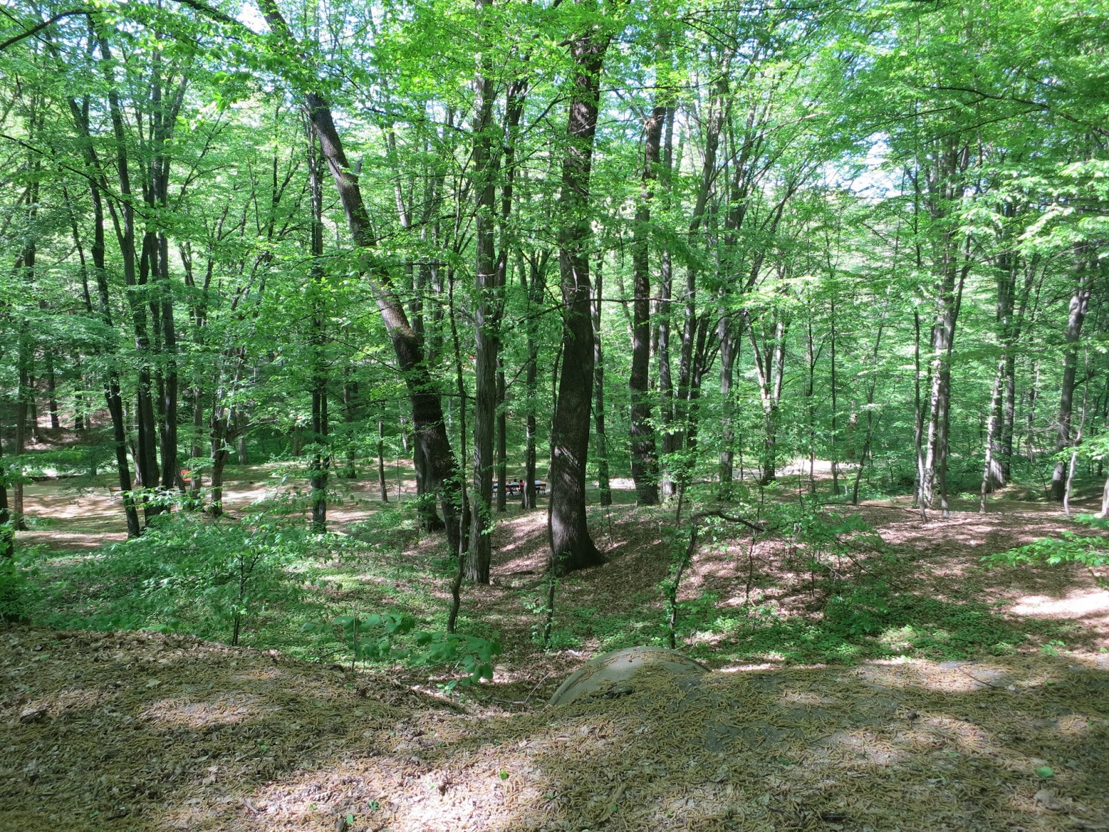 Călătorii cu copii: Parcul Trivale, Pitesti