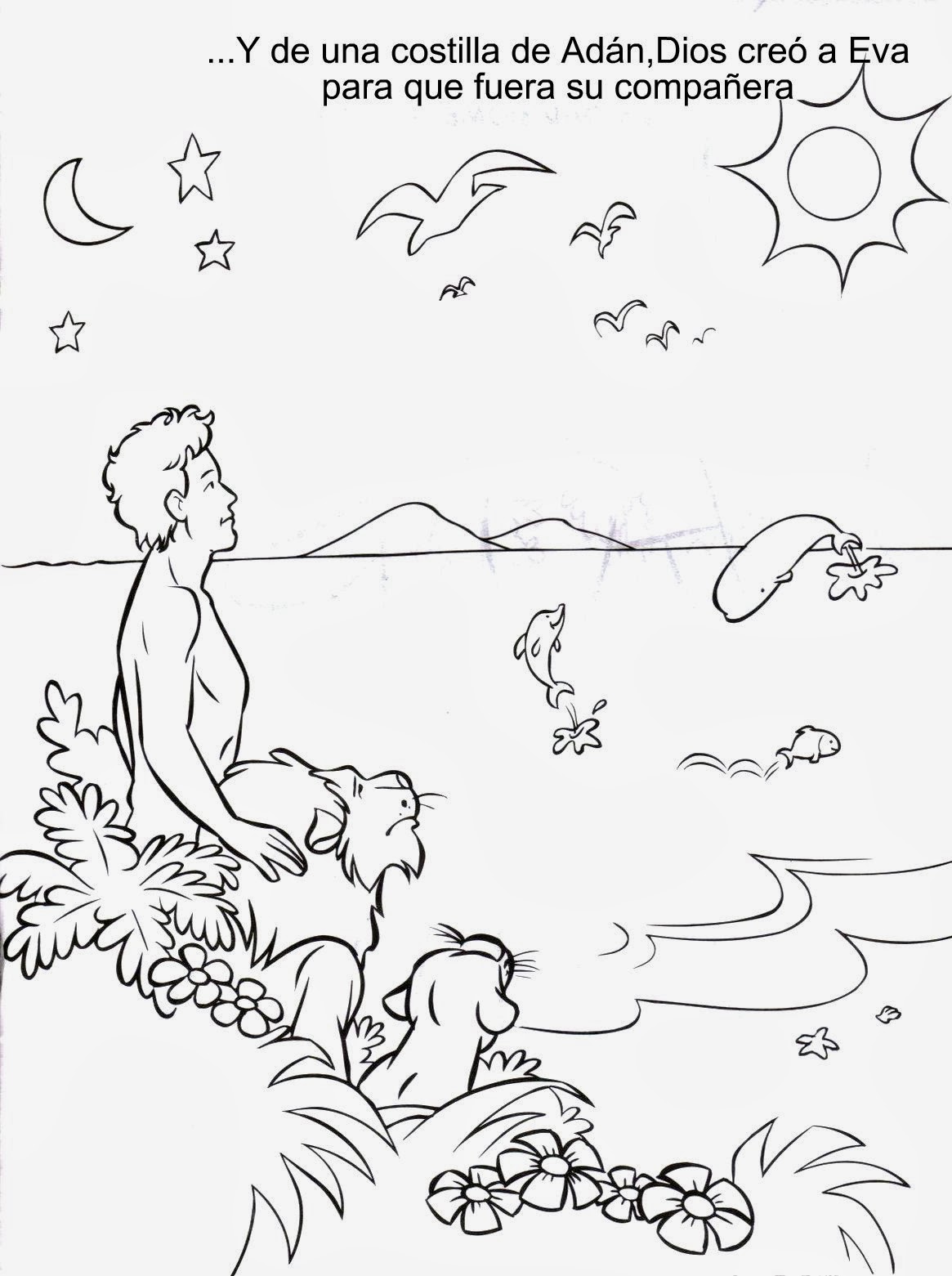 La Creacion Dibujos Para Colorear - Dibujos Para Dibujar