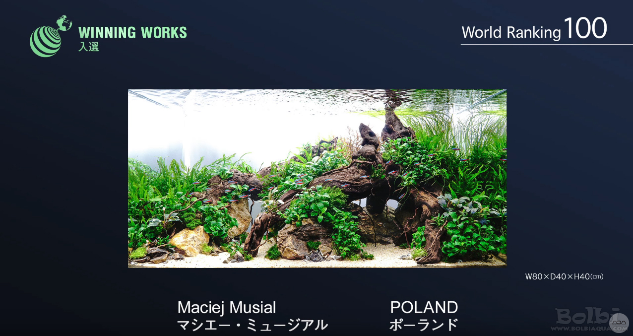 IAPLC 2017 - Top 127 [Photos] ~ Bolbi Aquarium