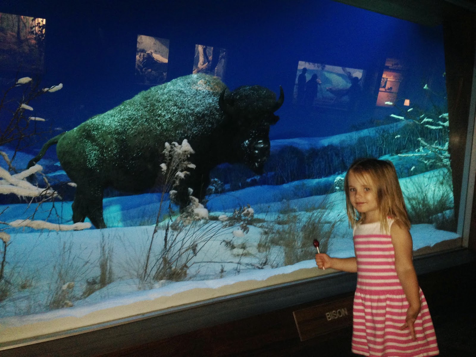 Meet the Muir Family: The PA State Museum