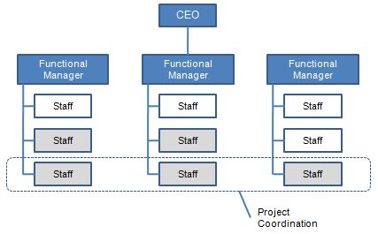 Matrix organizational structure - dollarFlex