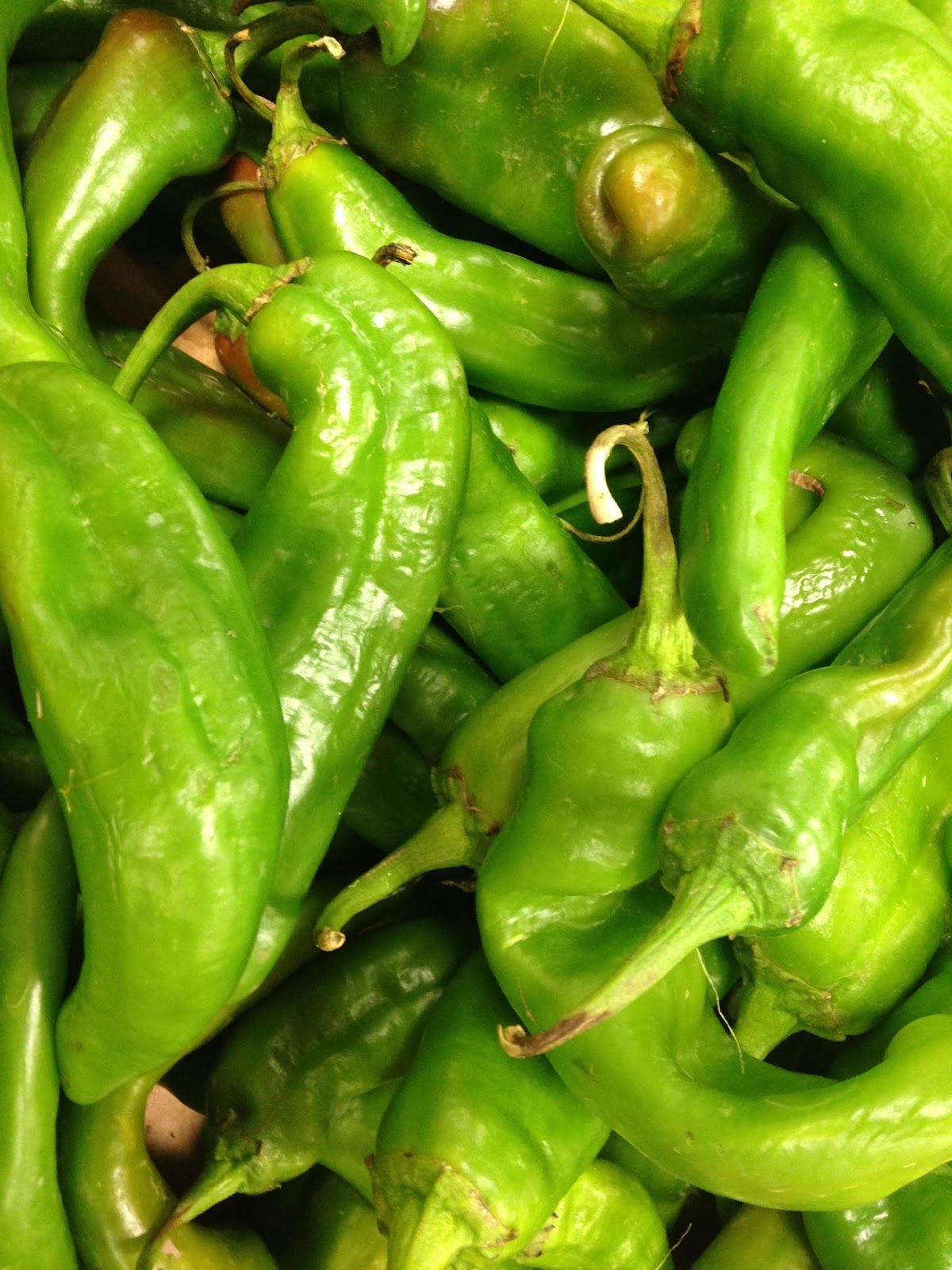 Scissors and Crayons: GREEN Chile (aka Pepper Science Unit)