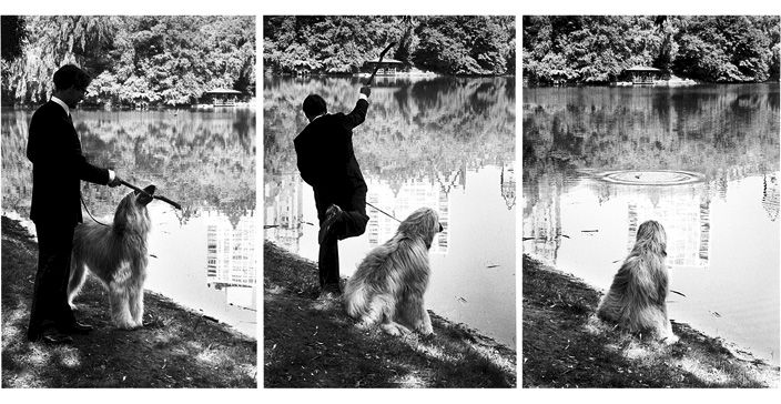 photography & other things: SEQUENCING : Research : Photographers who ...