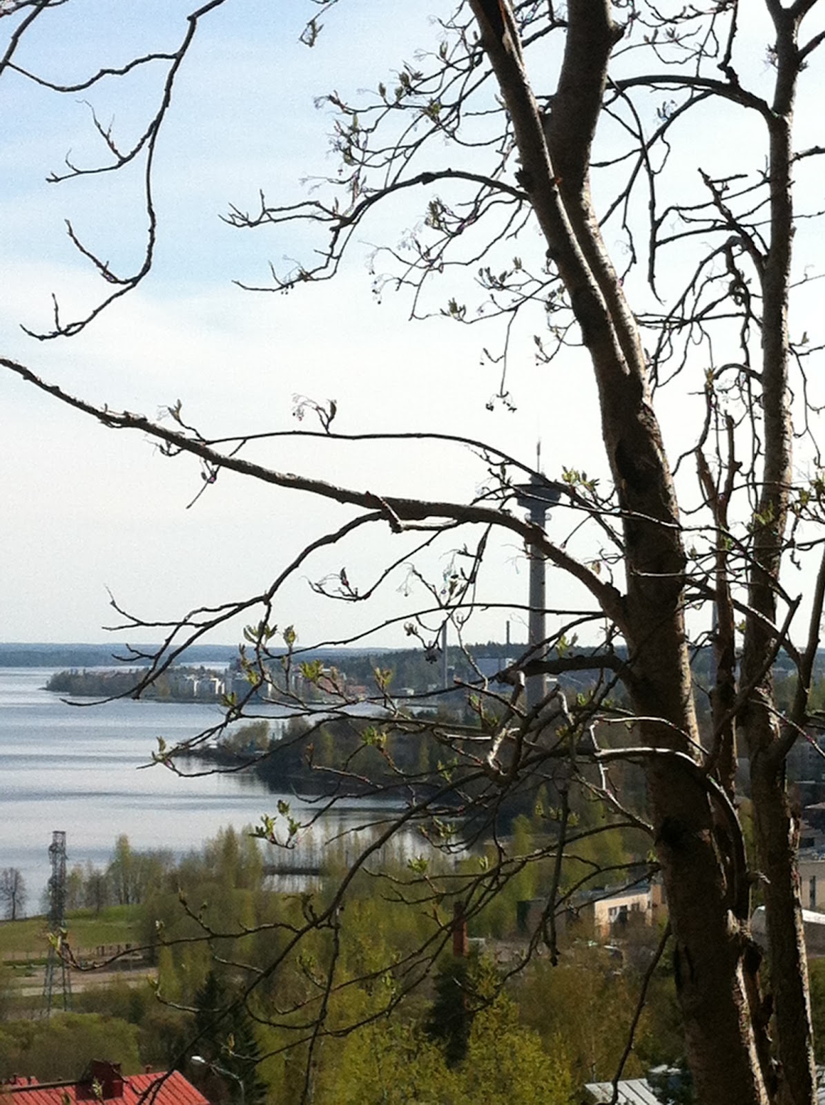 Fat Overdose: Pispalan portaat