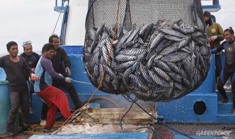 La surpêche et la pêche destructrice dans les Philippines