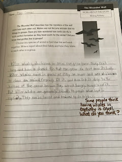 Cummins Life: Mosdos Press Literature Pearl {6th Grade} Review