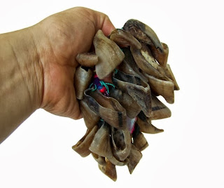 Andes Sheep’s Hooves Shaker : Chakchas 安第斯山脈羊蹄製的鈴鐺樂器