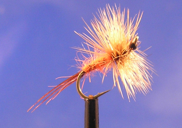 Fly Tyer Man: The Adams