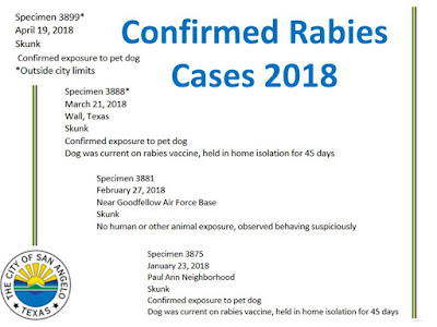 State of the Division: One Rabies Case Per Month in 2018