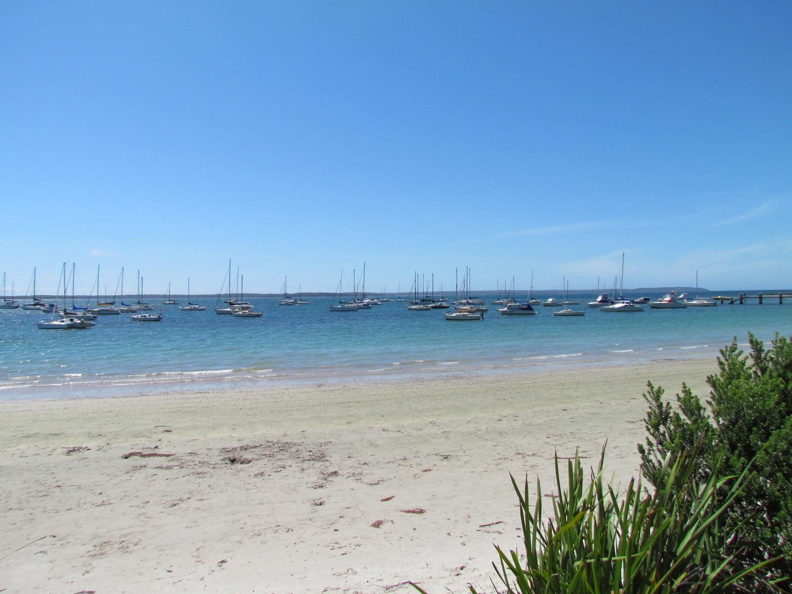 A View Of Sydney: January 2012