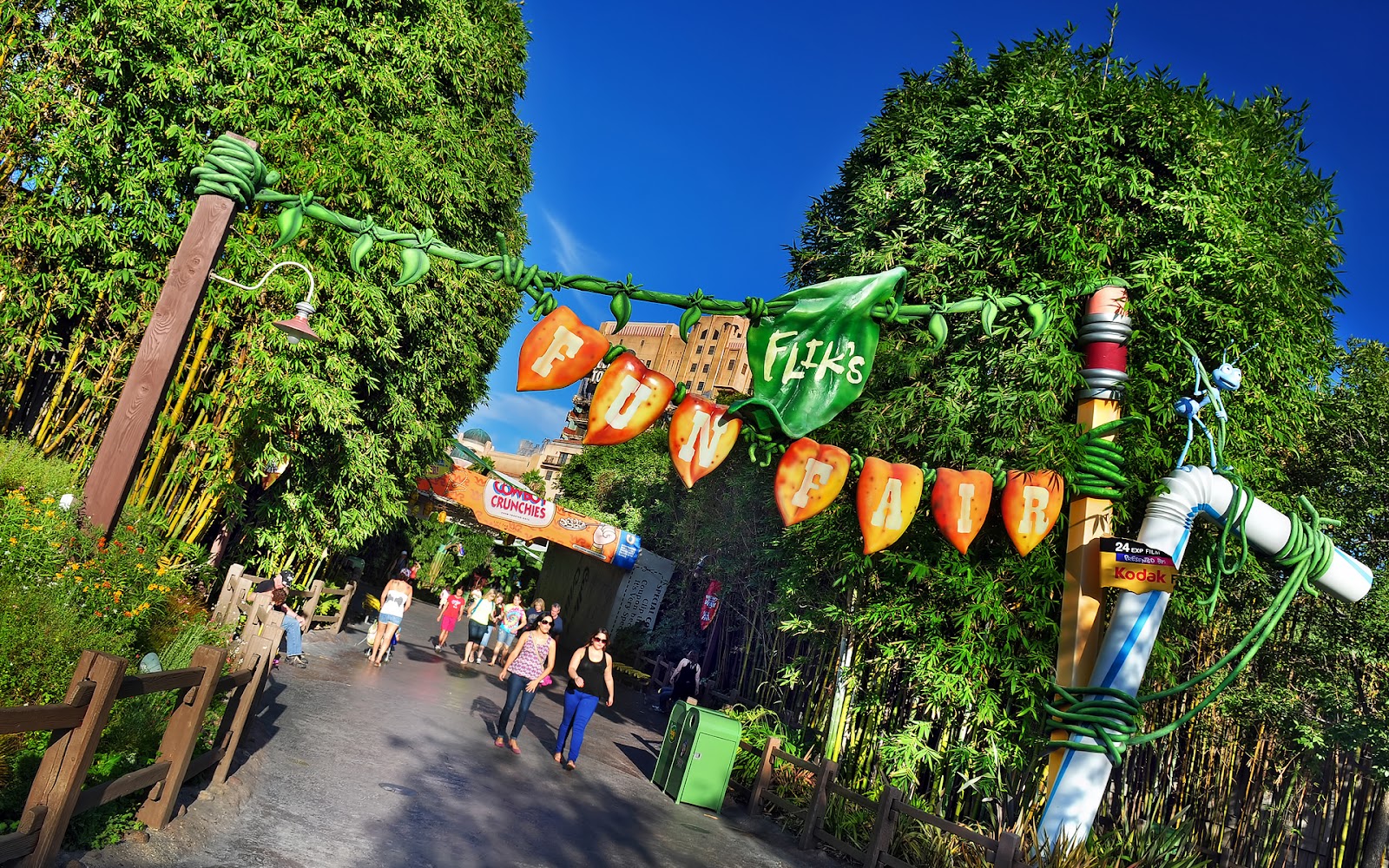 Entering A Bug's Land