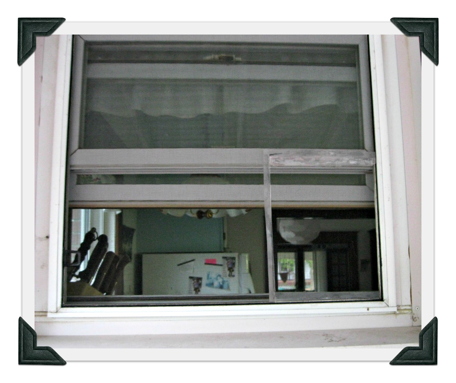 ...Make It With Me: Making a Garden From Industrial Skids and a Kitty ...