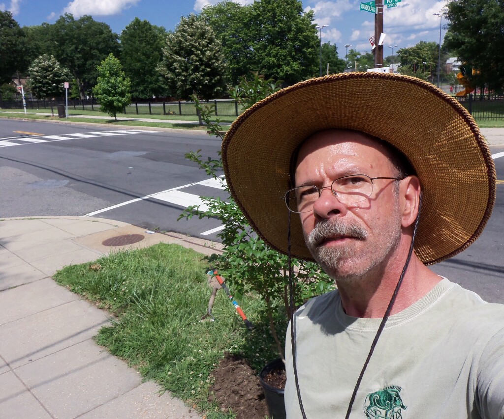 Orange explains it all: plant the crape myrtle tree