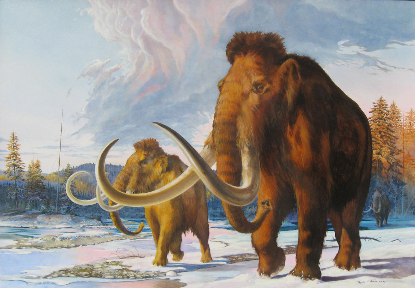 lupul in colors: MOSTRA: MAURO CUTRONA-PREISTORIA ILLUSTRATA